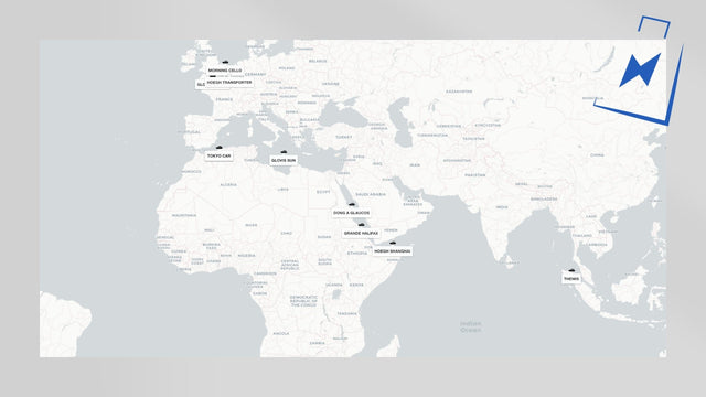 Tesla-skipsoppdatering: 7 flere skip med Tesla Model 3 / Y forventes f ...